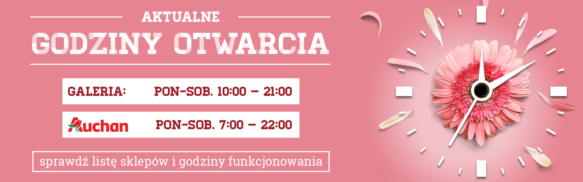 Strona główna - Osowa